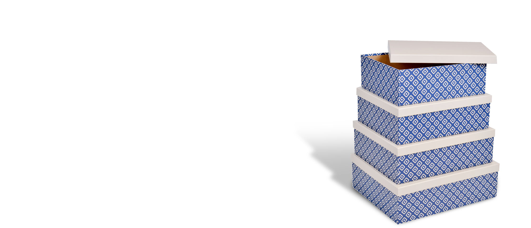 Unimasa |Unimasa S.A.